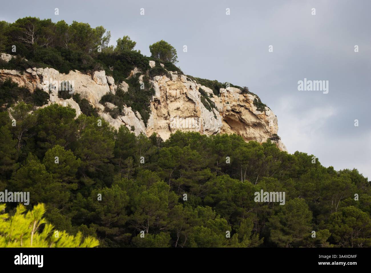 typical canyon gorge rock cliff face with green trees in Menorca Stock ...