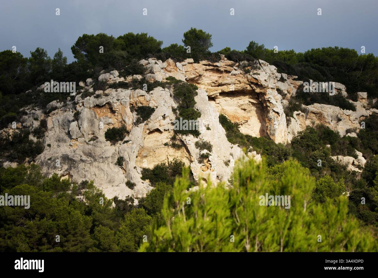 typical canyon gorge rock cliff face with green trees in Menorca Stock ...