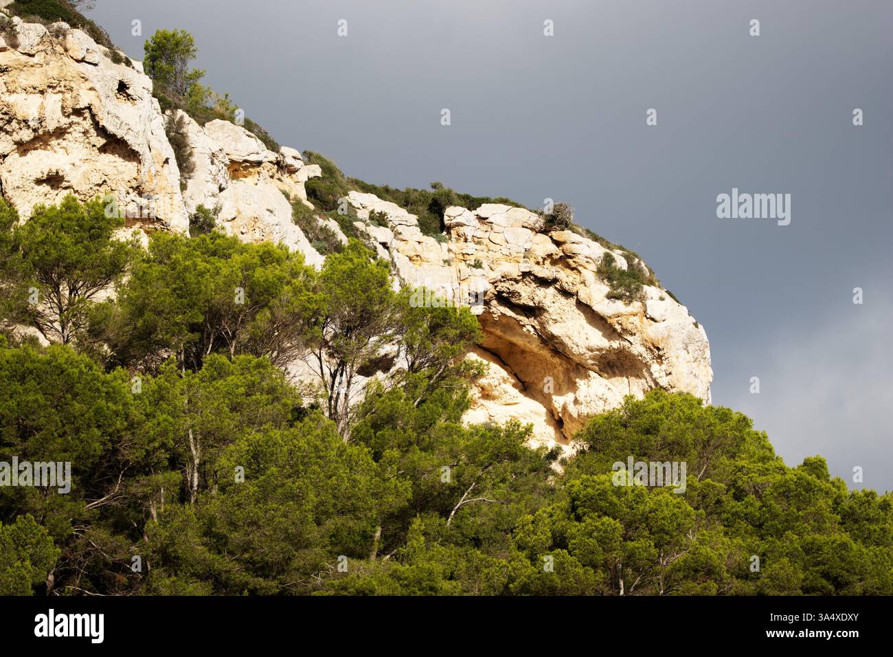 typical canyon gorge rock cliff face with green trees in Menorca Stock ...