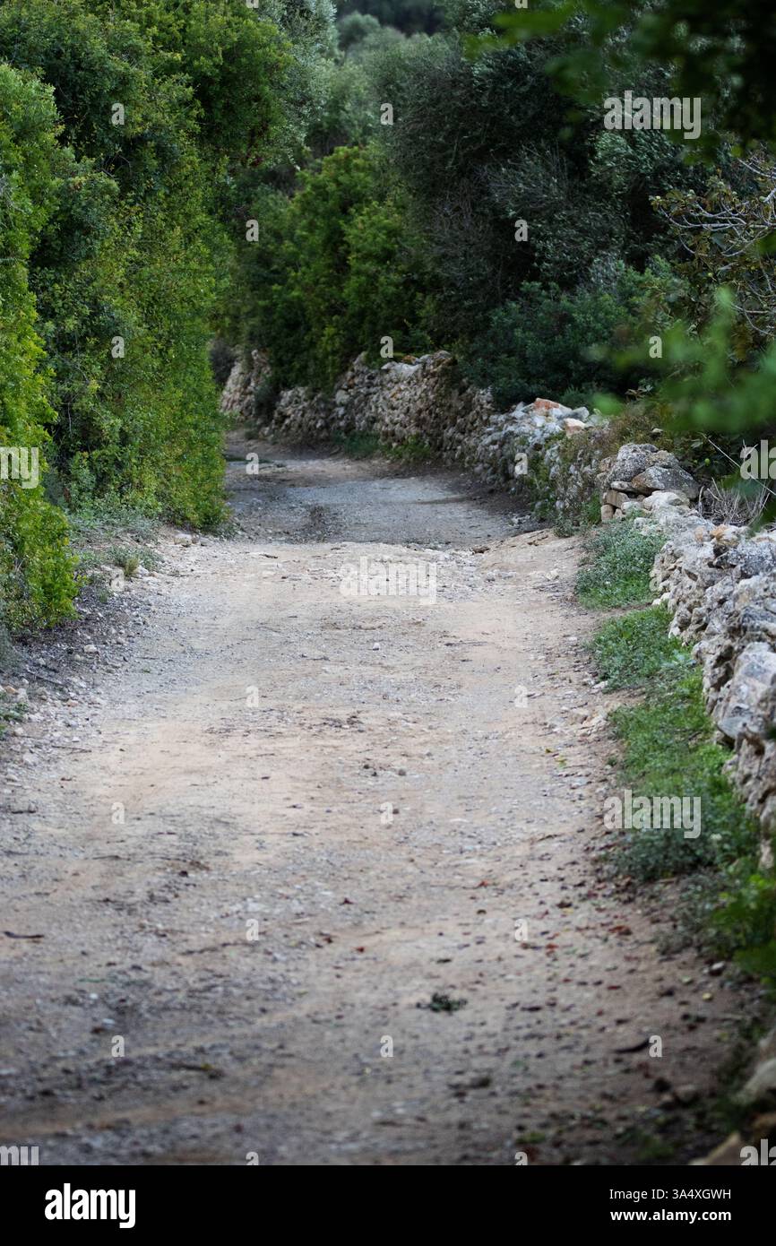 typical rolling hills with trees and short grass and paths in Menorca ...