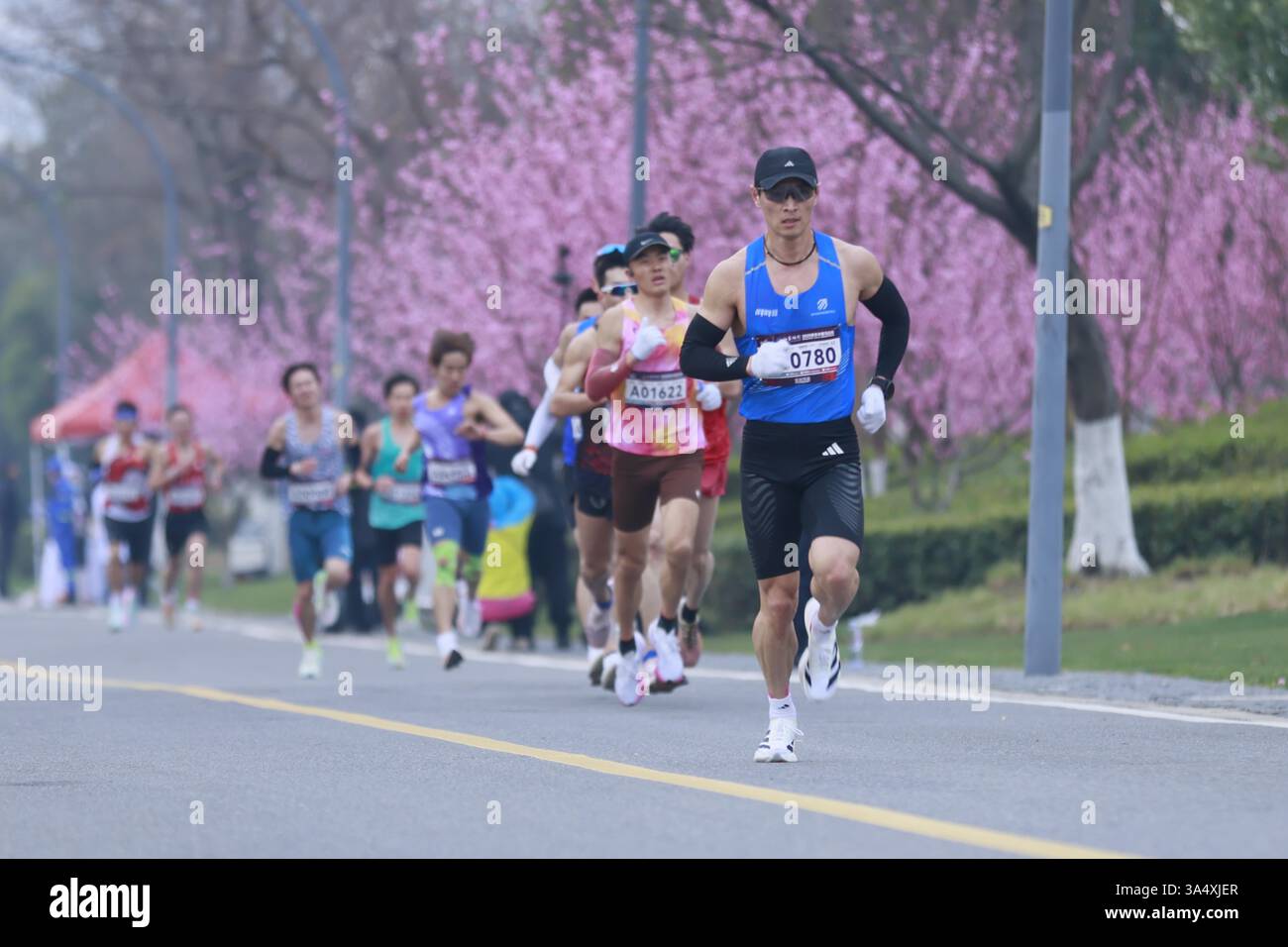 The 2025 Nanjing Half Marathon kicks off in Nanjing City, east China's ...