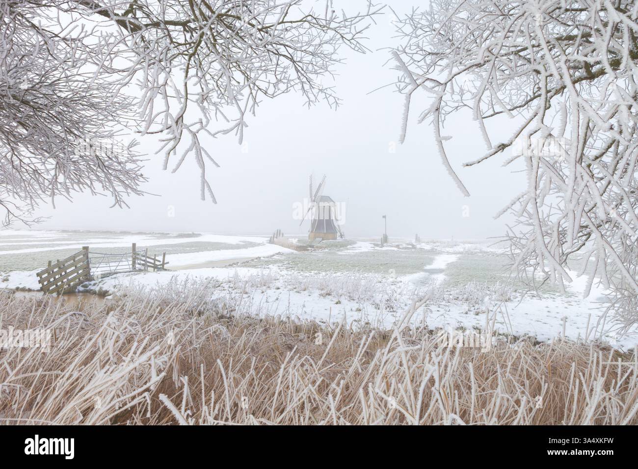 Scene traditional dutch windmill hi-res stock photography and images ...