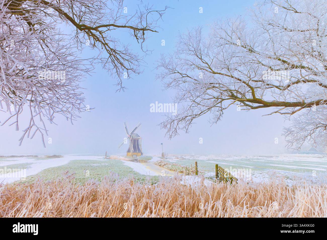 Dutch winter landscape with a windmill Stock Photo - Alamy