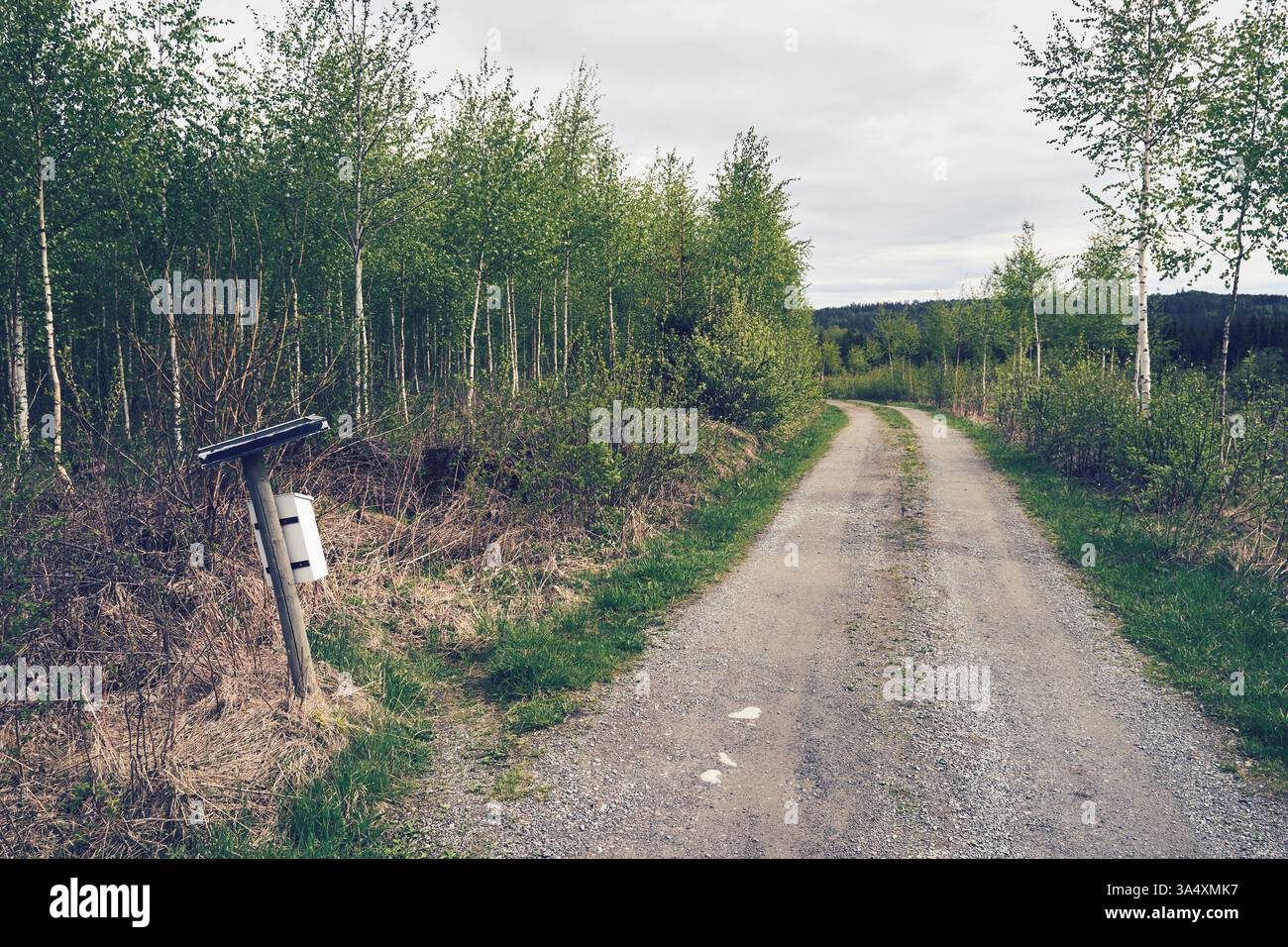 a post box by the gravel road in the forest Stock Photo - Alamy