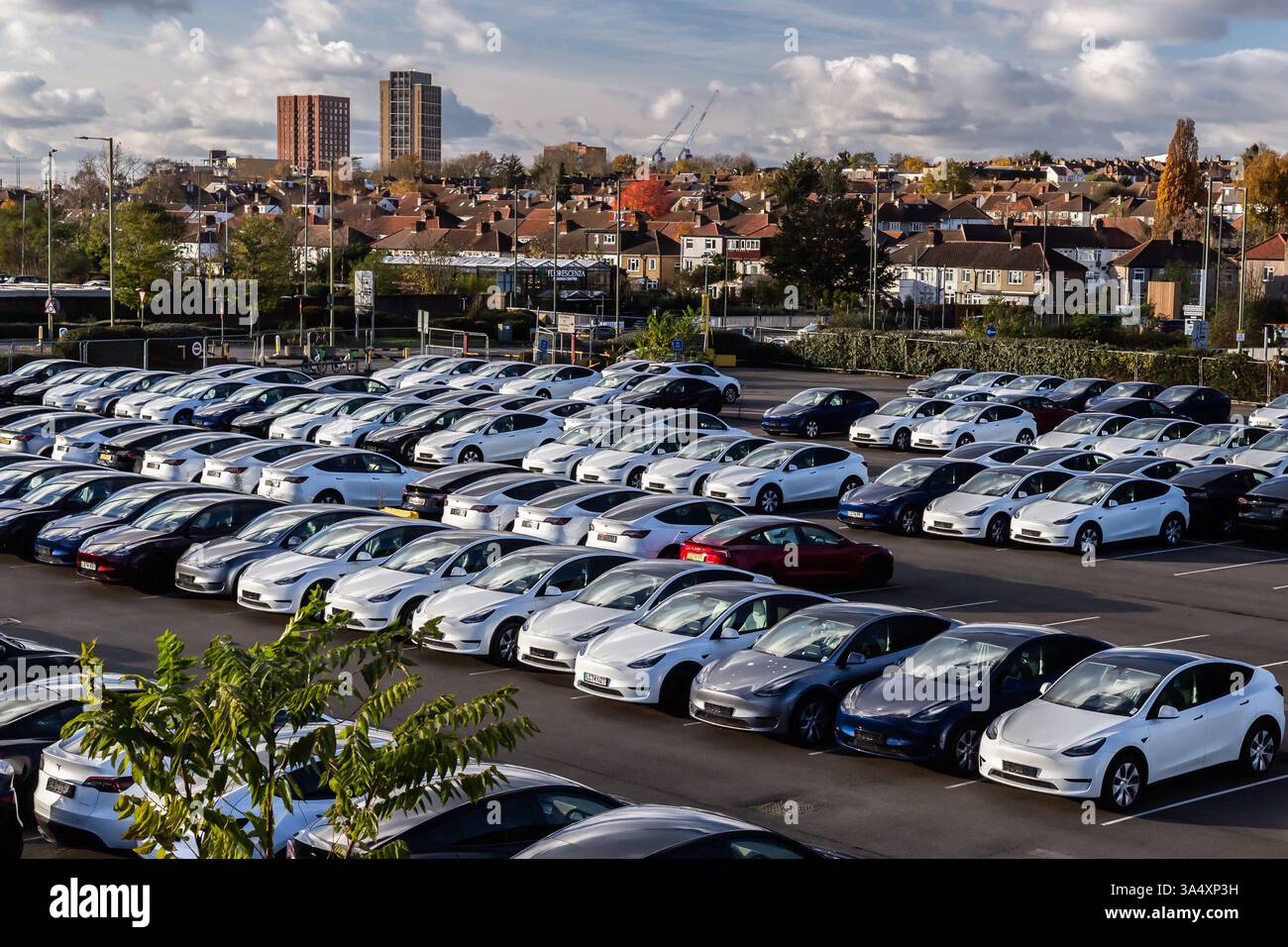 TESLA CARS READY FOR FOR INSPECTION IN NORTH LONDON Stock Photo - Alamy