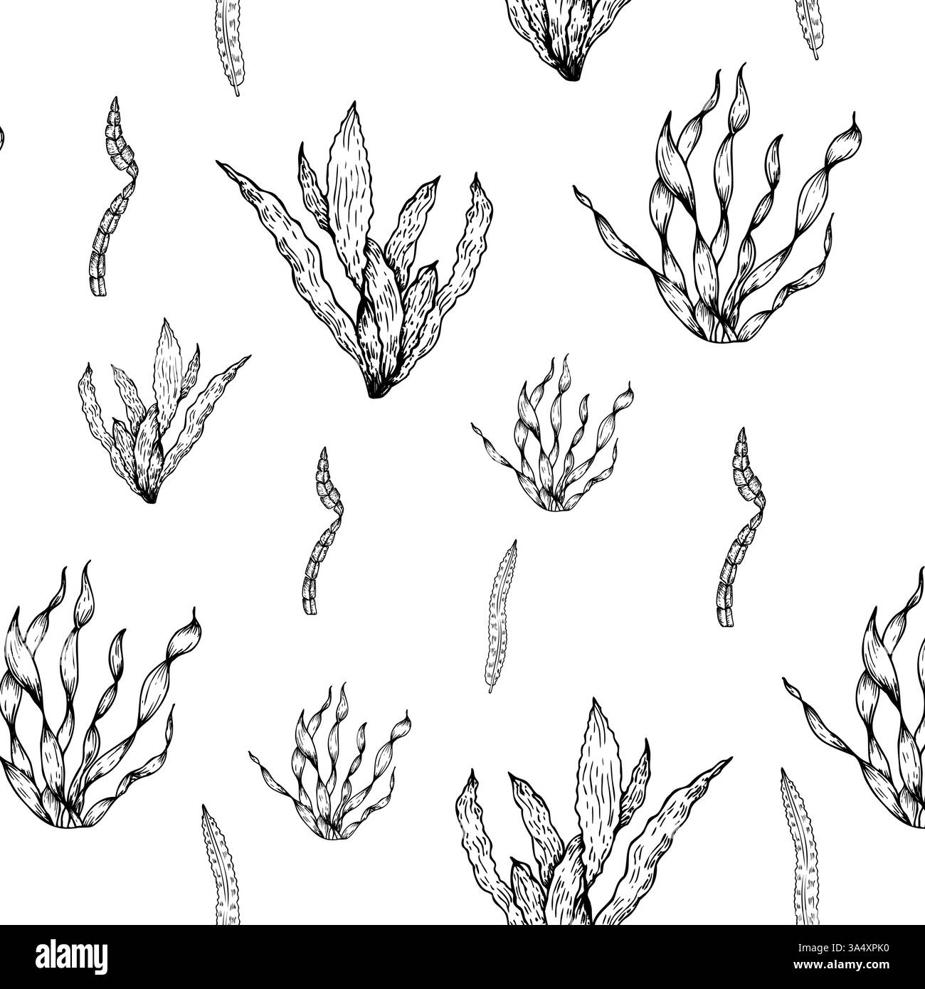 Seaweed silhouette seamless pattern Black and White Stock Photos ...