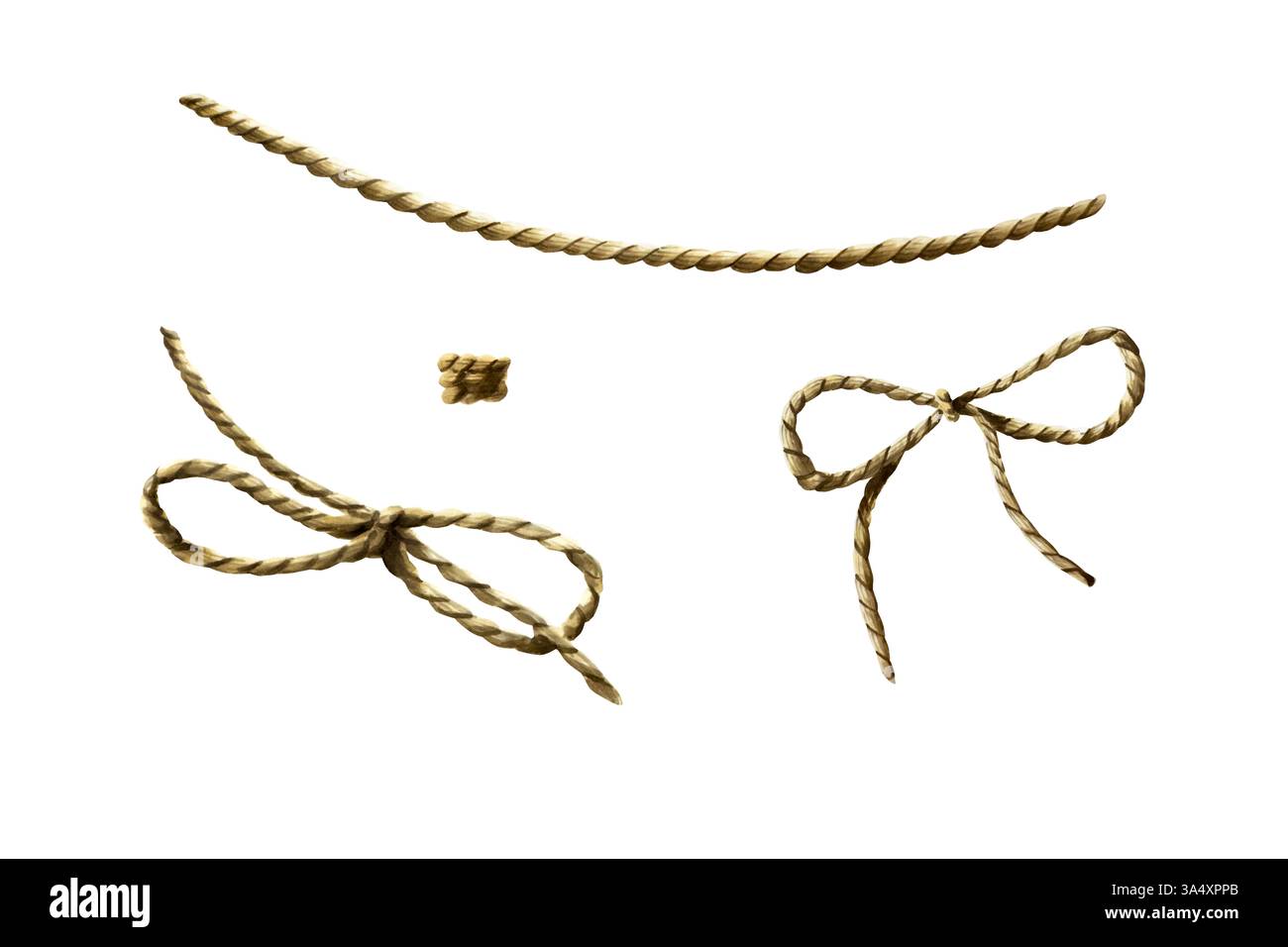 Twine straight brown rope and tied in a bow set. Watercolor hand drawn ...