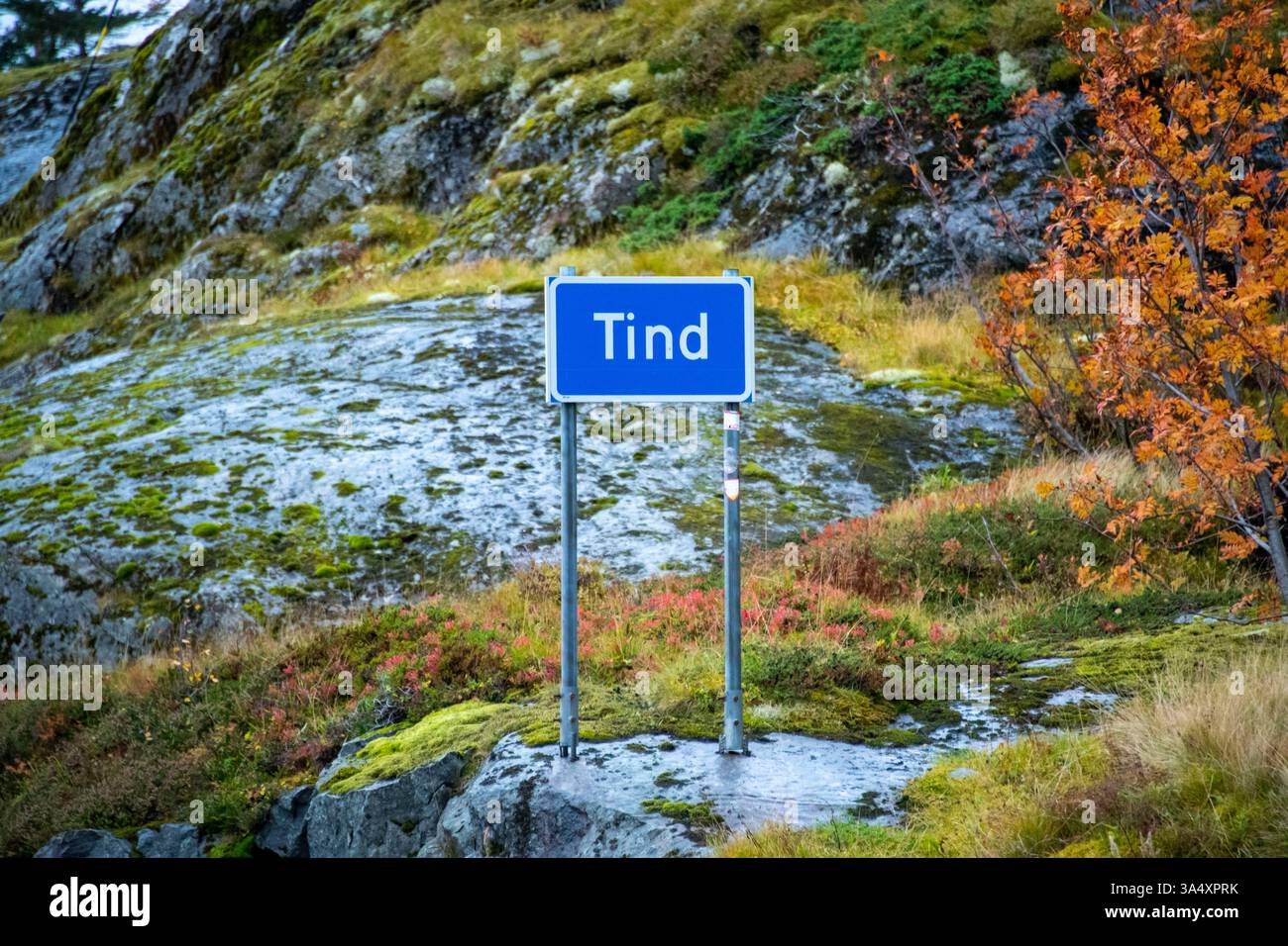 Tind hi-res stock photography and images - Alamy