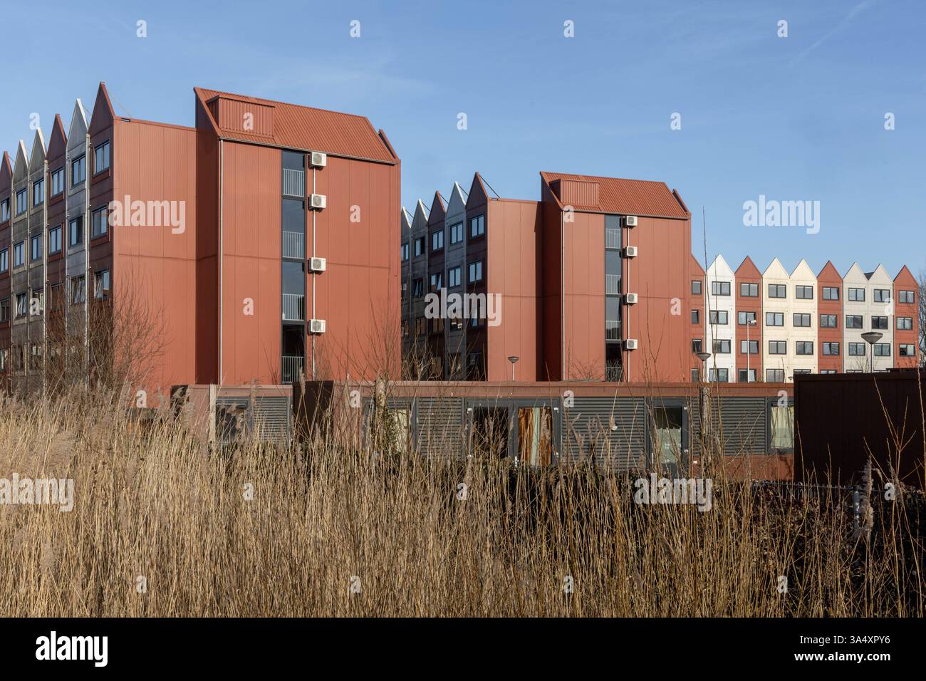 blue,blue sky,family house,the netherlands,container,private,Container ...