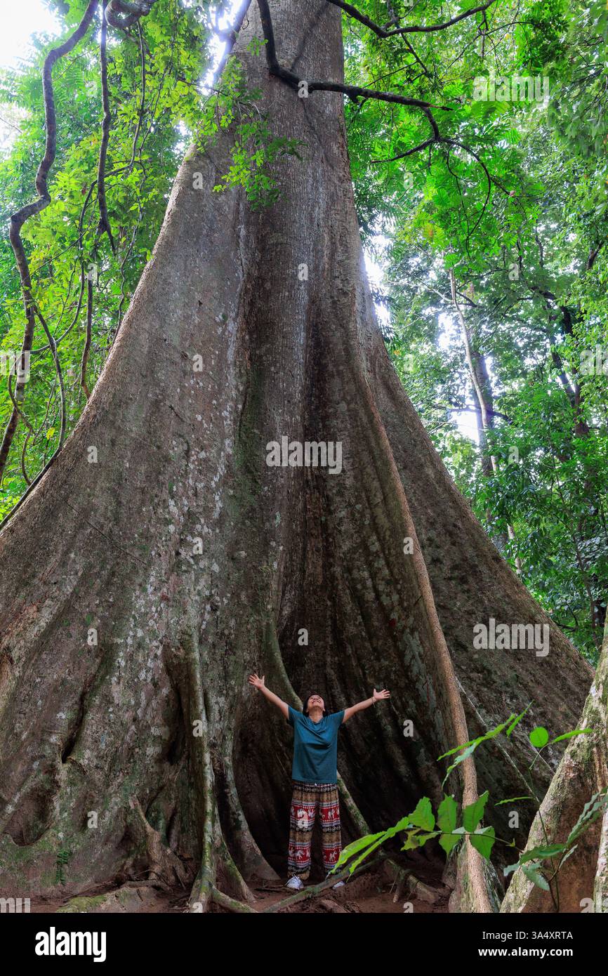 Female girl banyan hi-res stock photography and images - Alamy