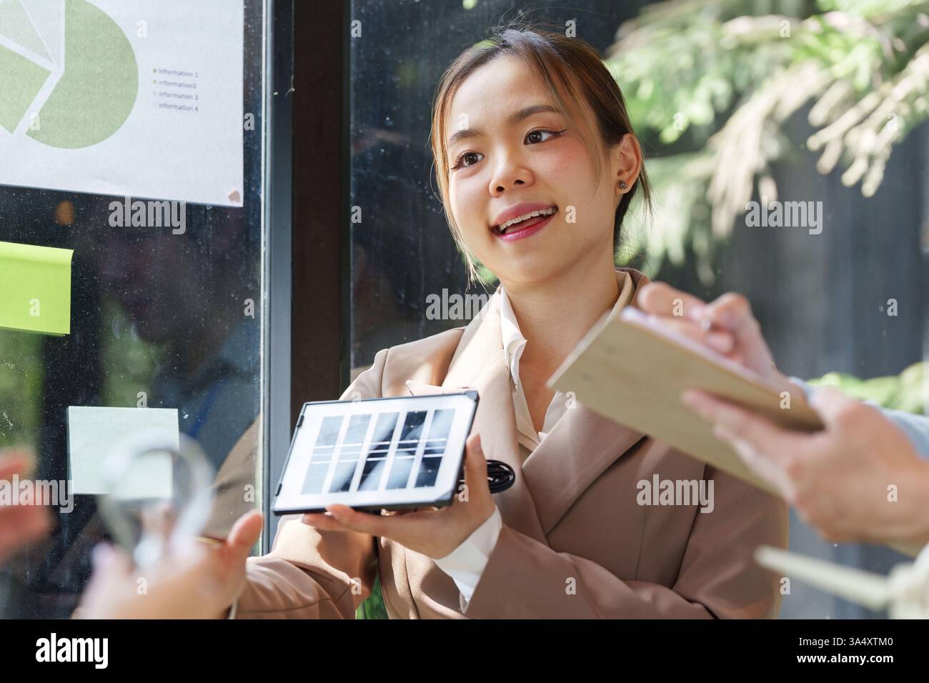 Renewable Energy and Collaboration. A professional presenting solar ...