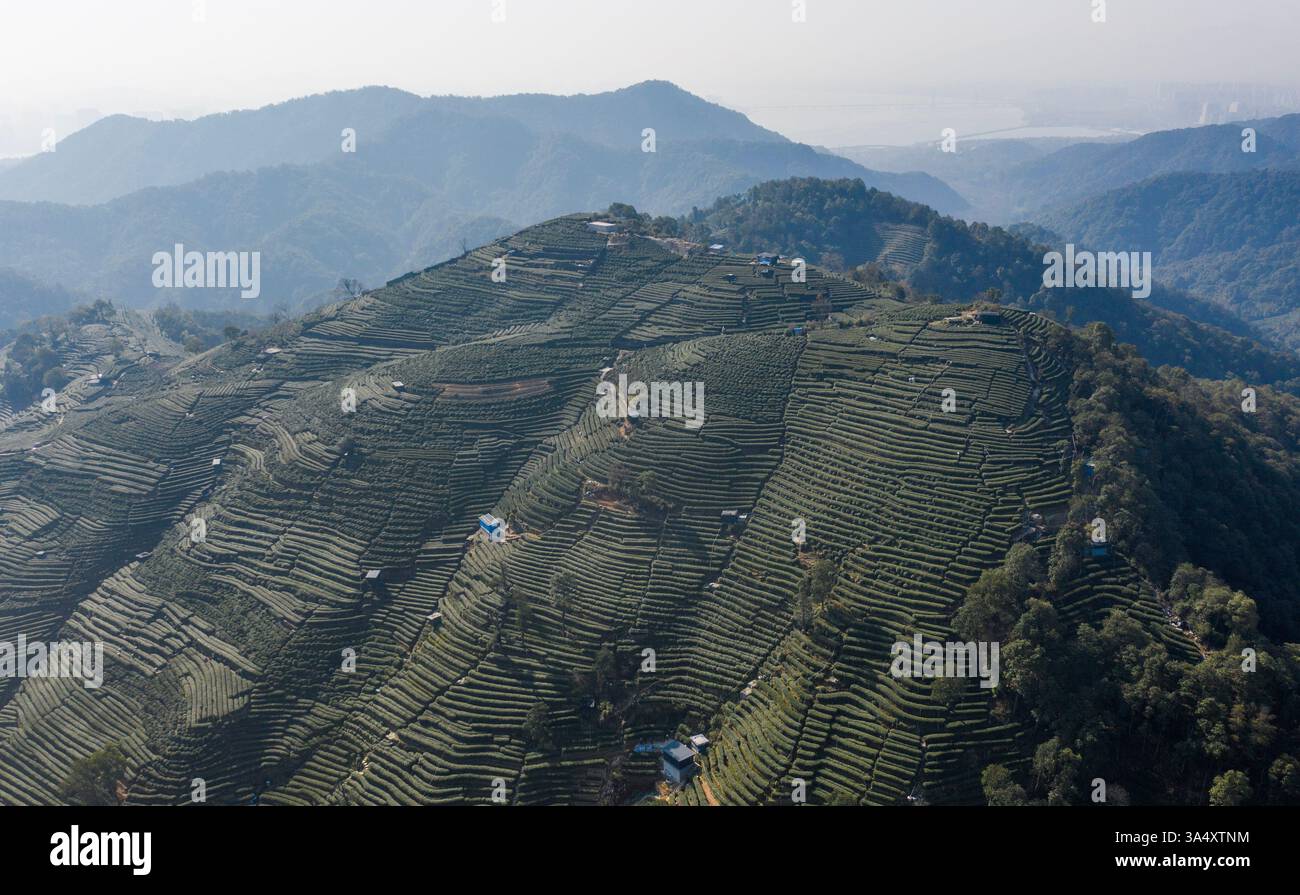 (250320) -- HANGZHOU, March 20, 2025 (Xinhua) -- An aerial drone photo ...