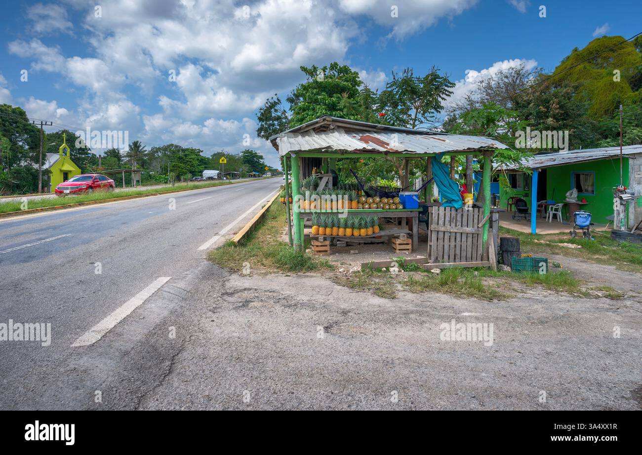 Highway and roadside fruit and vegetable stand at Pedro Antonio Santos ...