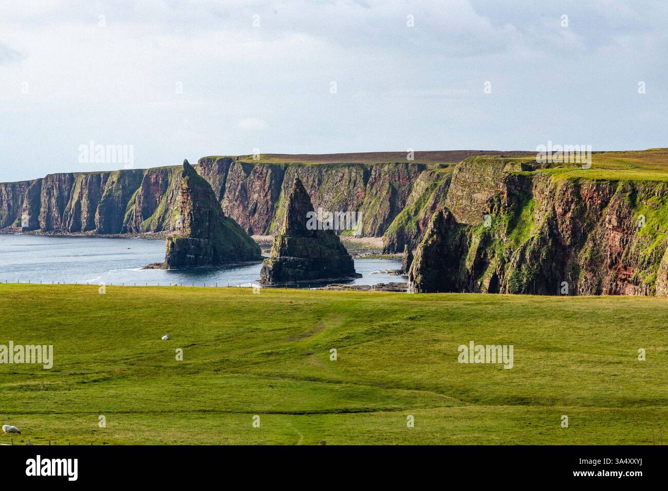 Duncansby Stacks, a breathtaking coastal wonder in Scotland, rise from the North Sea. Standing ...