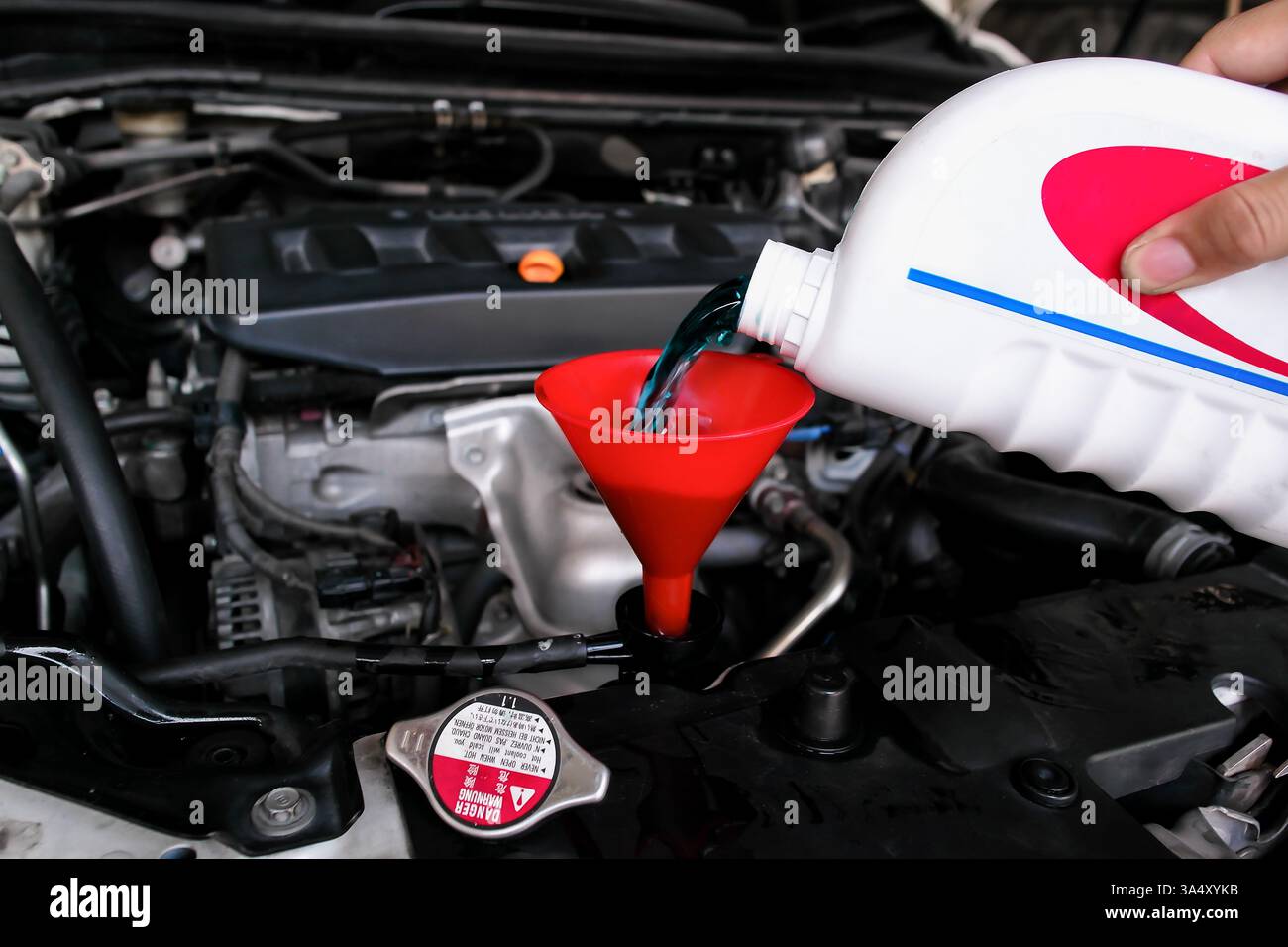 Pouring coolant fluid using a funnel into car radiator , Car ...