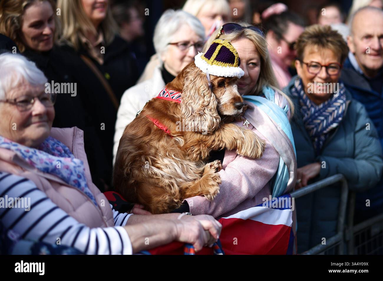 Nadine Conner holding her English Cocker Spaniel Lily as she waits for ...