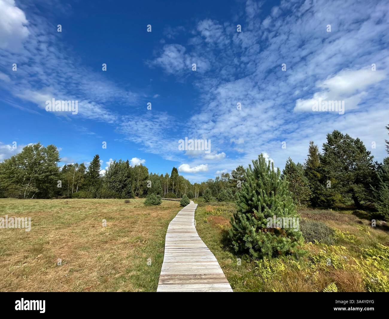 The Bieszczady Mountains (Polish: Bieszczady) are a beautiful, remote ...