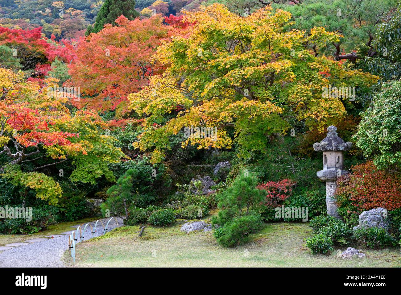Okochi Sanso garden,Arashiyama,Kyoto,Japan Stock Photo - Alamy
