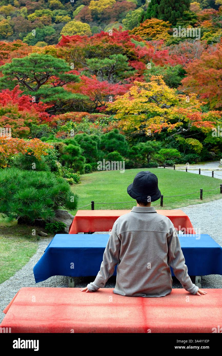 Okochi Sanso garden,Arashiyama,Kyoto,Japan Stock Photo - Alamy