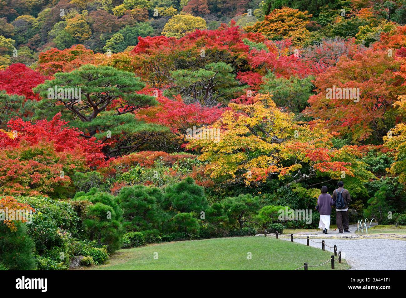Okochi Sanso garden,Arashiyama,Kyoto,Japan Stock Photo - Alamy