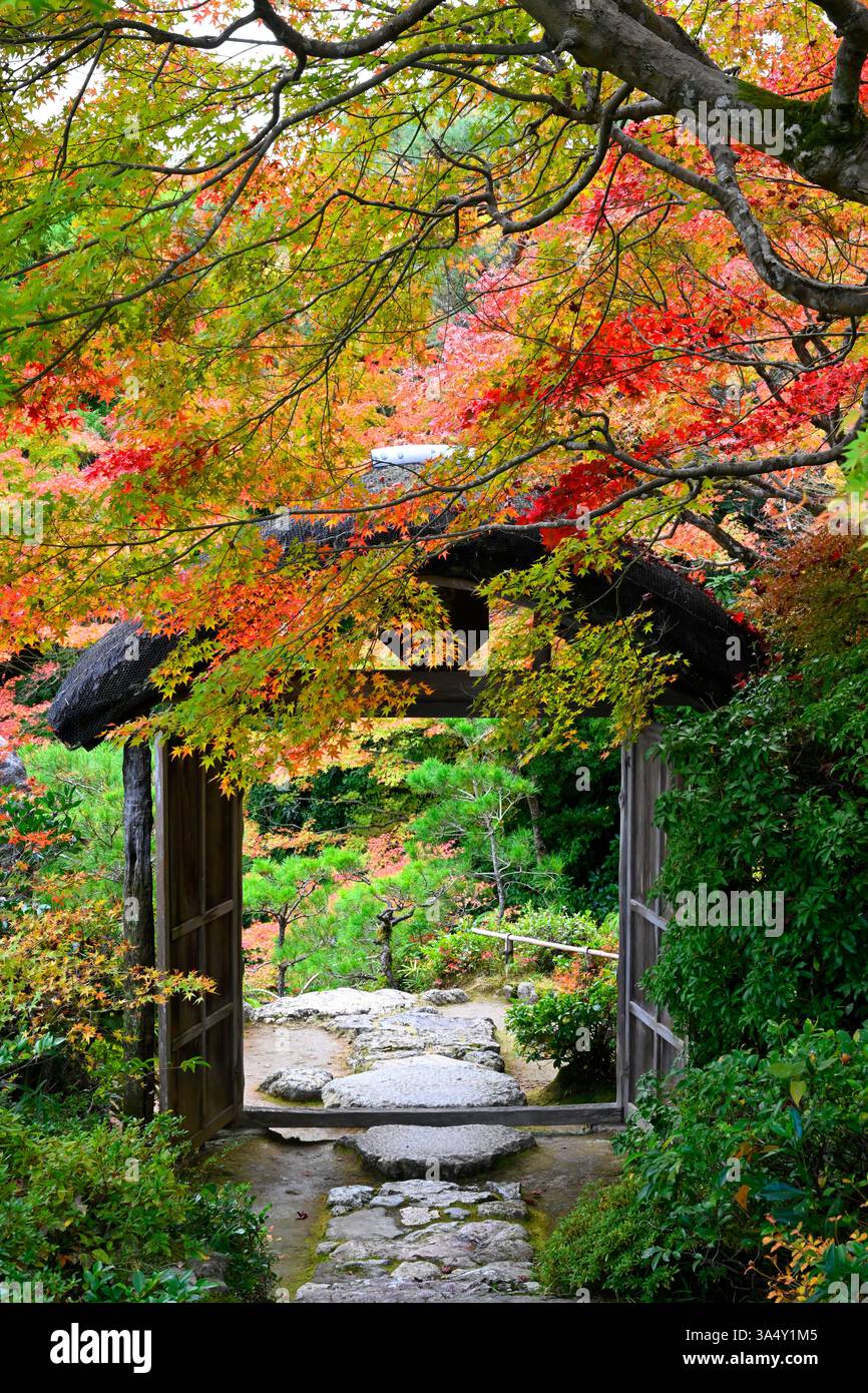 Okochi Sanso garden,Arashiyama,Kyoto,Japan Stock Photo - Alamy