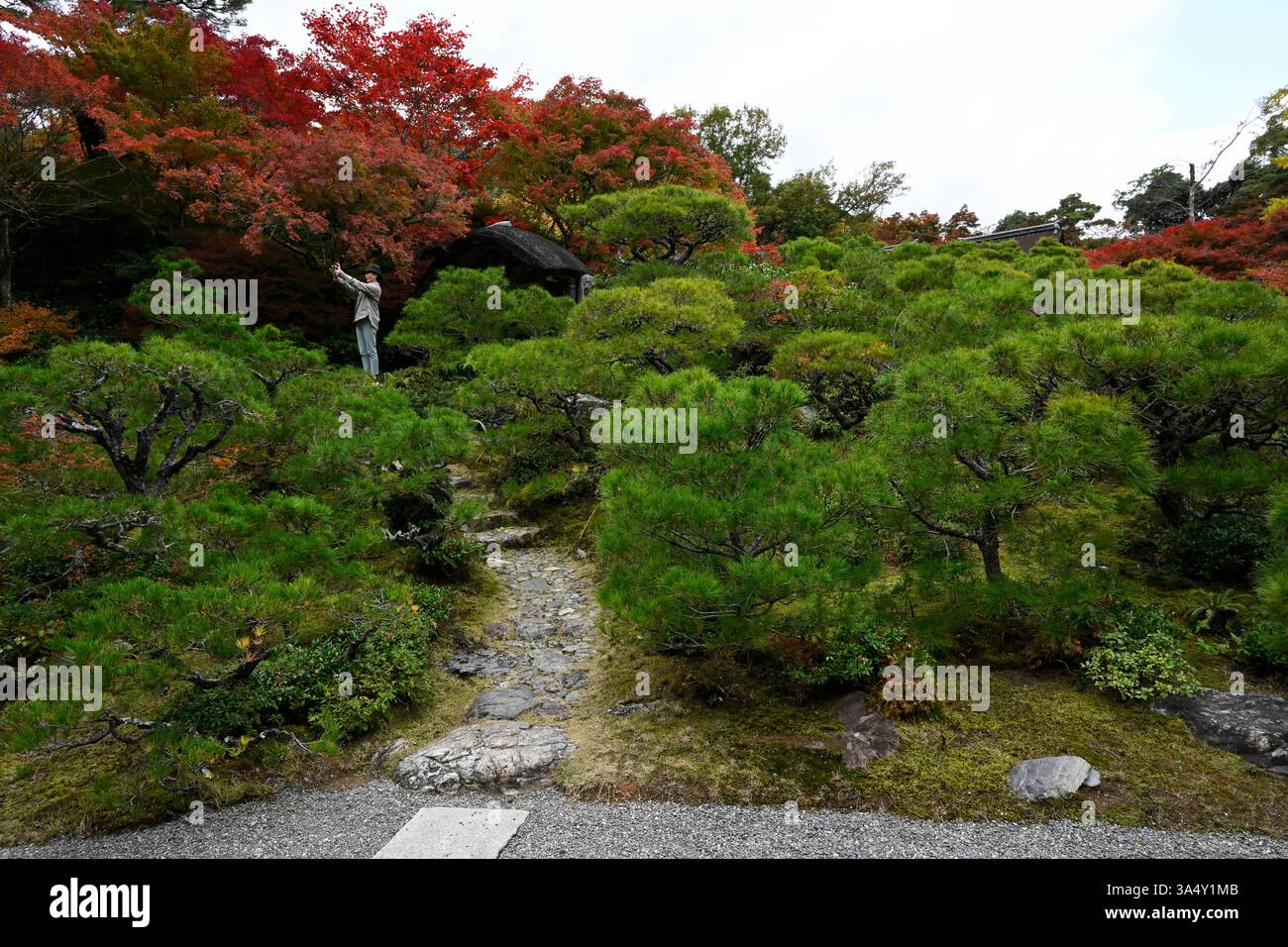 Okochi Sanso garden,Arashiyama,Kyoto,Japan Stock Photo - Alamy