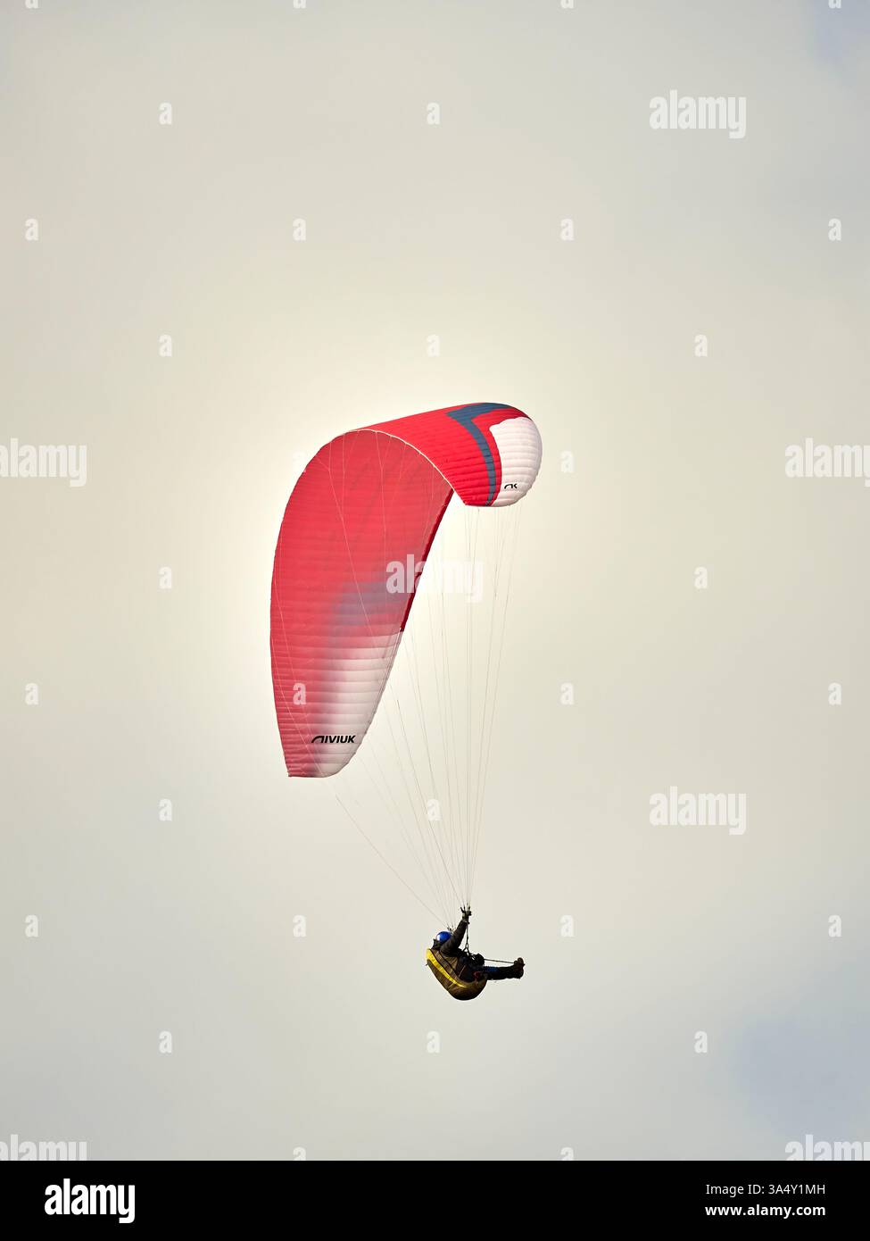 Paraglider above coastal cliffs on the Durham Coast Stock Photo - Alamy