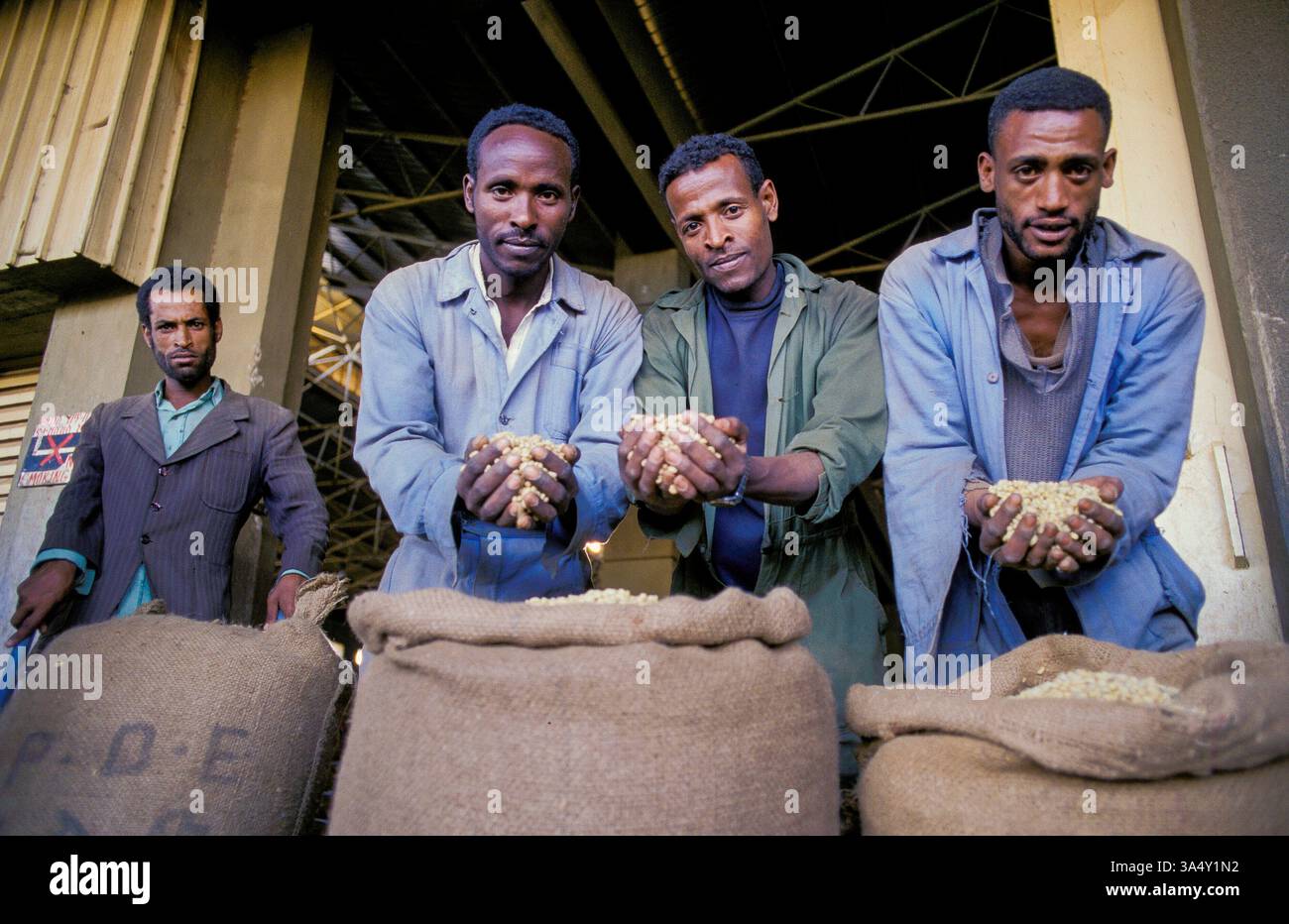 Ethiopia, Addis Abeba; workers at a coffee factory show the dried ...