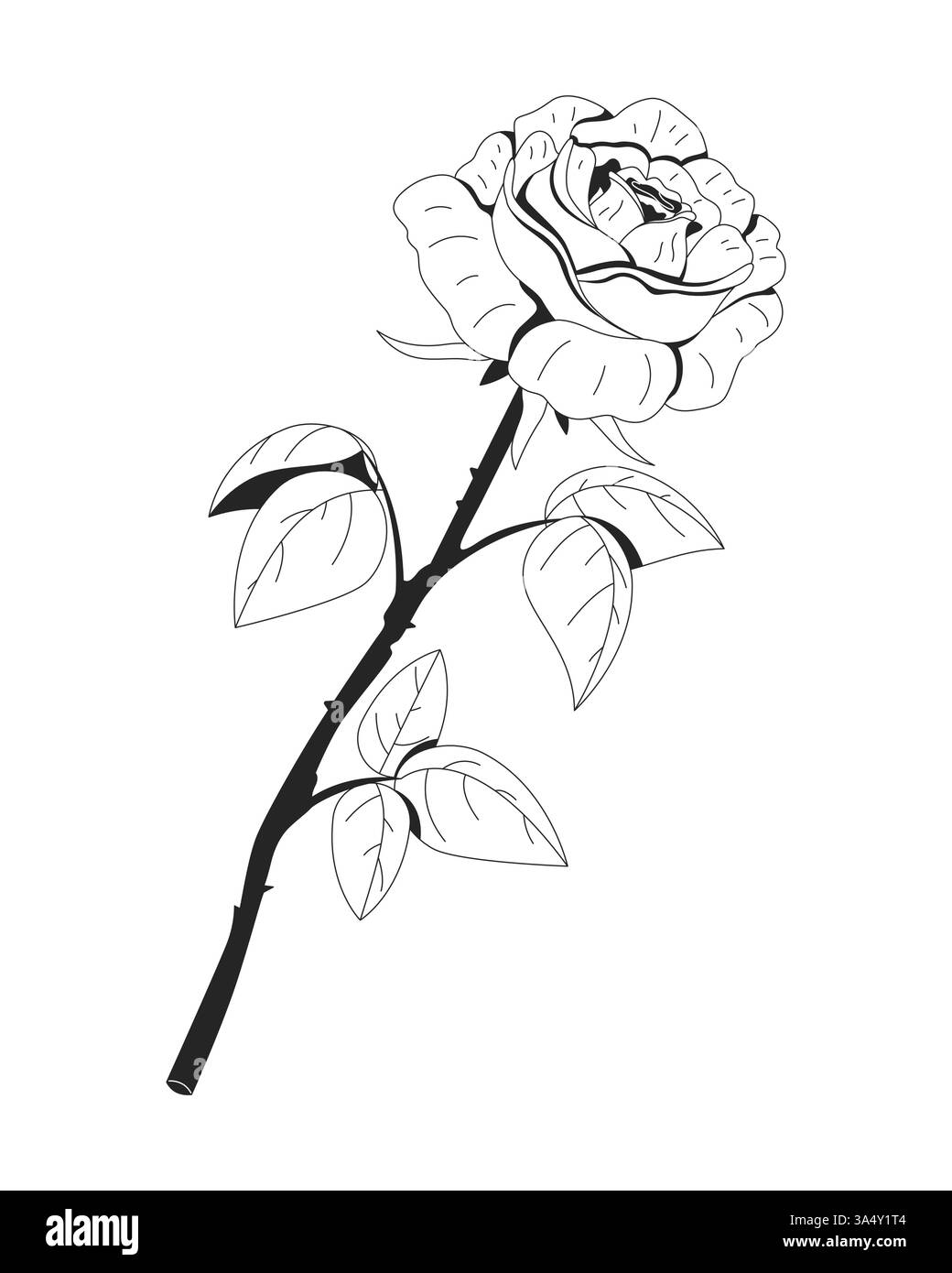 Beautifully detailed rose with long stem and fresh leaves 2D line ...