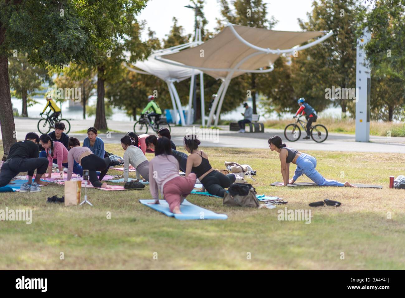 Group of young people practicing yoga in Hangang Han river park in ...