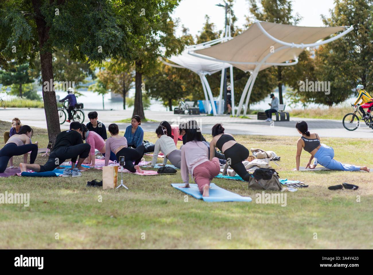 Group of young people practicing yoga in Hangang Han river park in ...