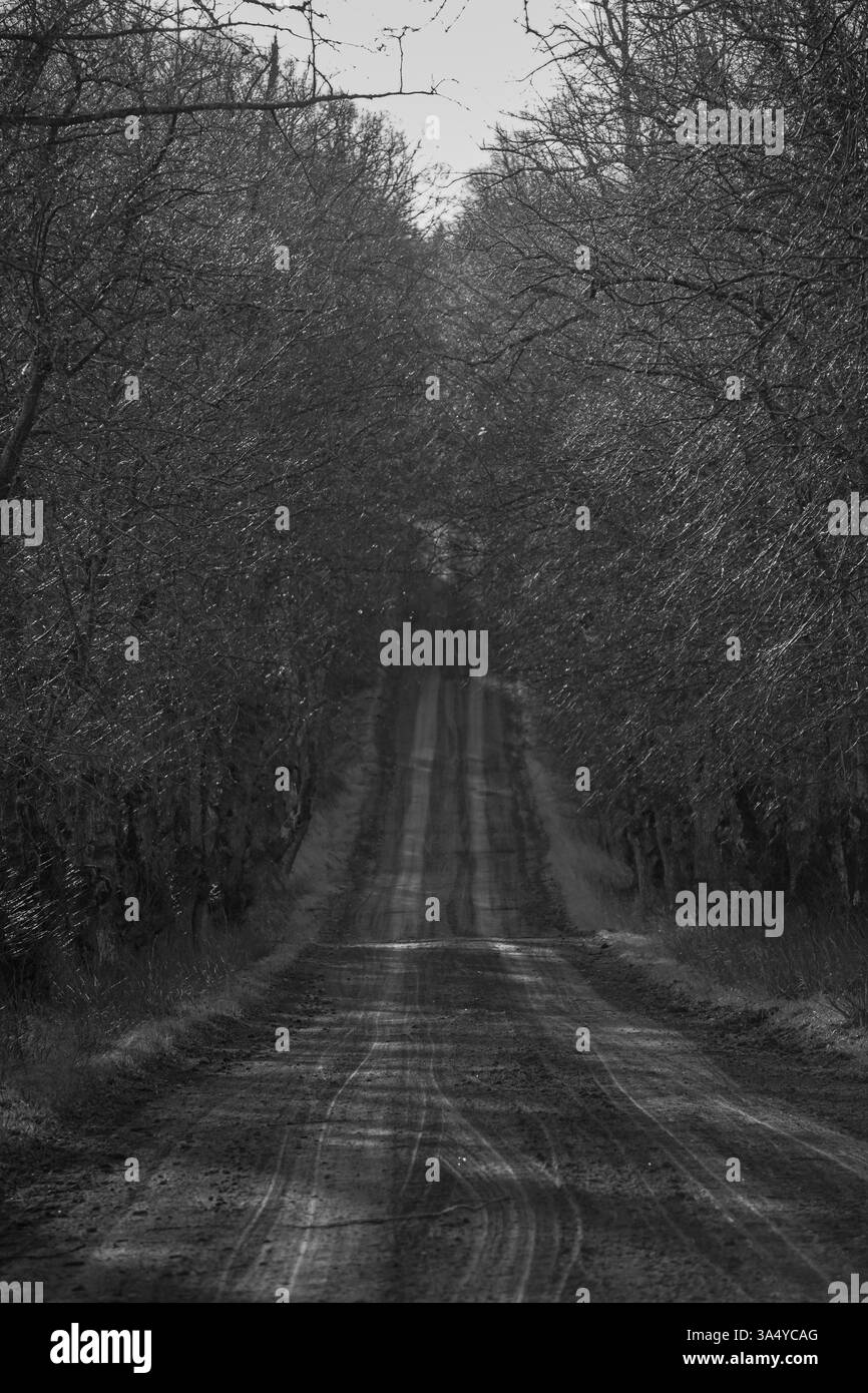 Dirt gravel road on Black and White Stock Photos & Images - Alamy