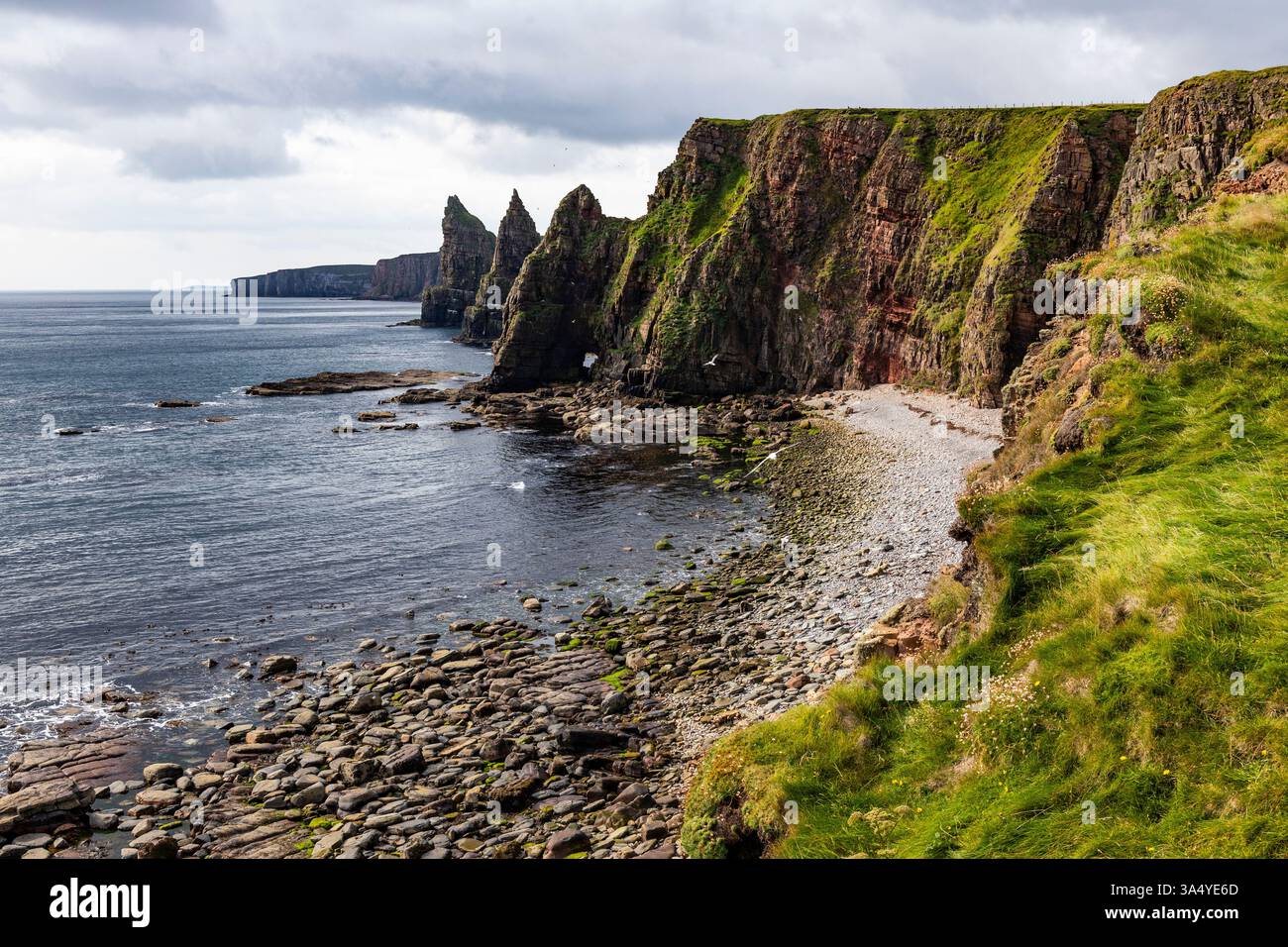 Duncansby Stacks, a breathtaking coastal wonder in Scotland, rise from the North Sea. Standing ...