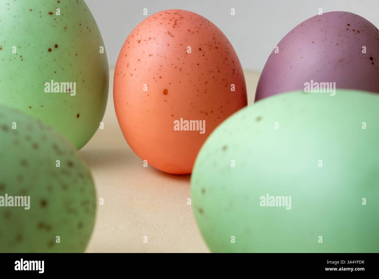 Set pastel natural colors hi-res stock photography and images - Alamy