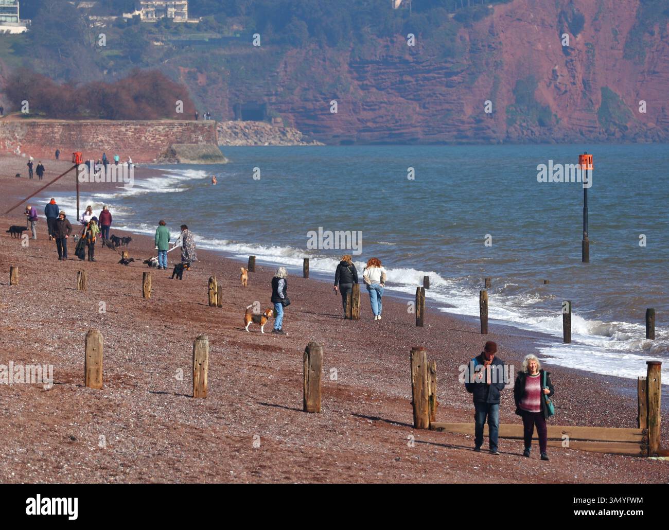 Teignmouth, Devon, UK. 20th Mar, 2025. UK Weather: Sunny Spring equinox ...