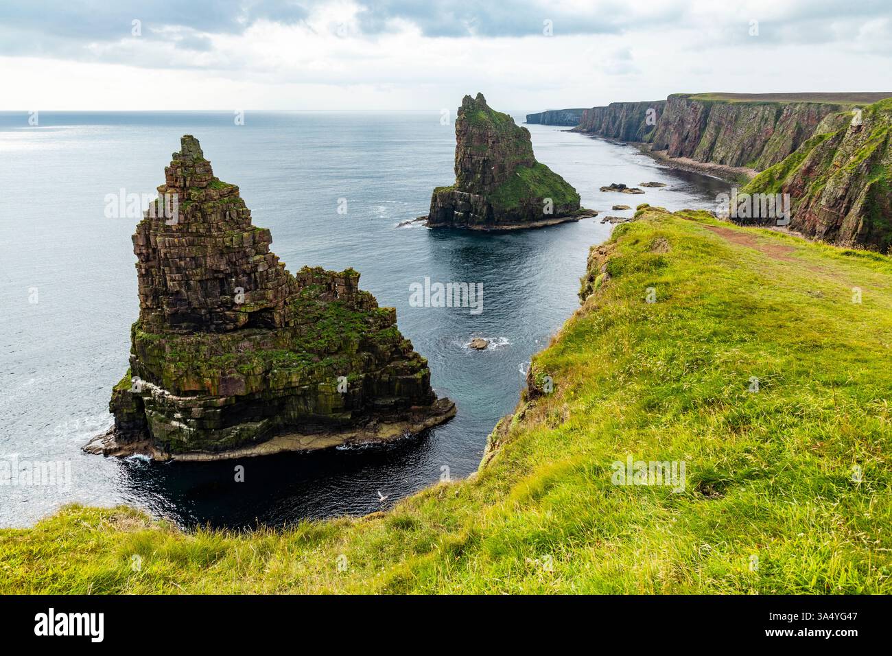 Duncansby Stacks, a breathtaking coastal wonder in Scotland, rise from the North Sea. Standing ...