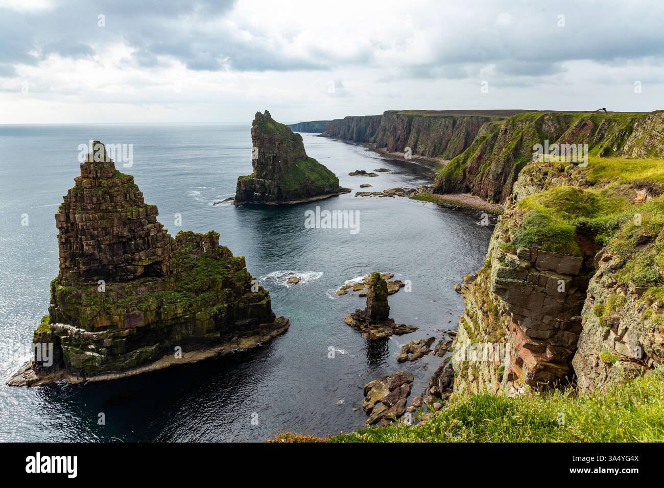 Duncansby Stacks, a breathtaking coastal wonder in Scotland, rise from the North Sea. Standing ...