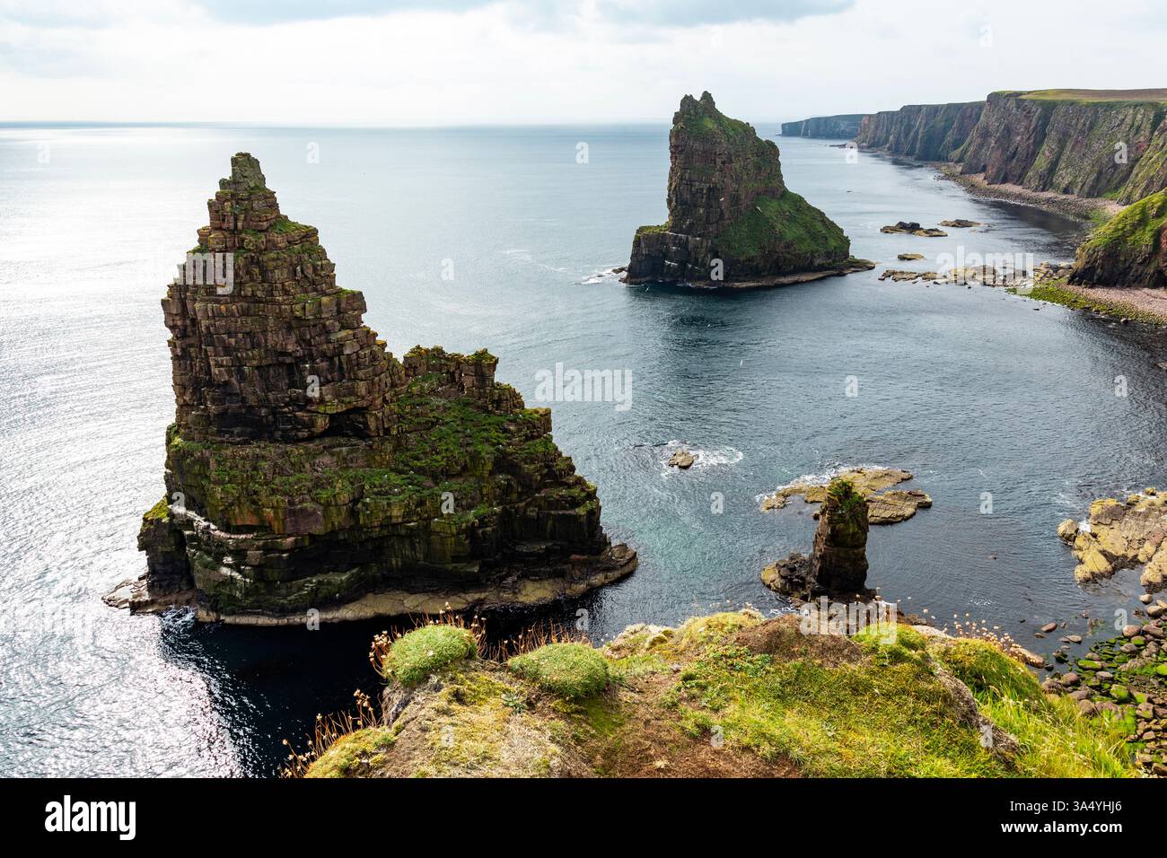 Duncansby Stacks, a breathtaking coastal wonder in Scotland, rise from the North Sea. Standing ...