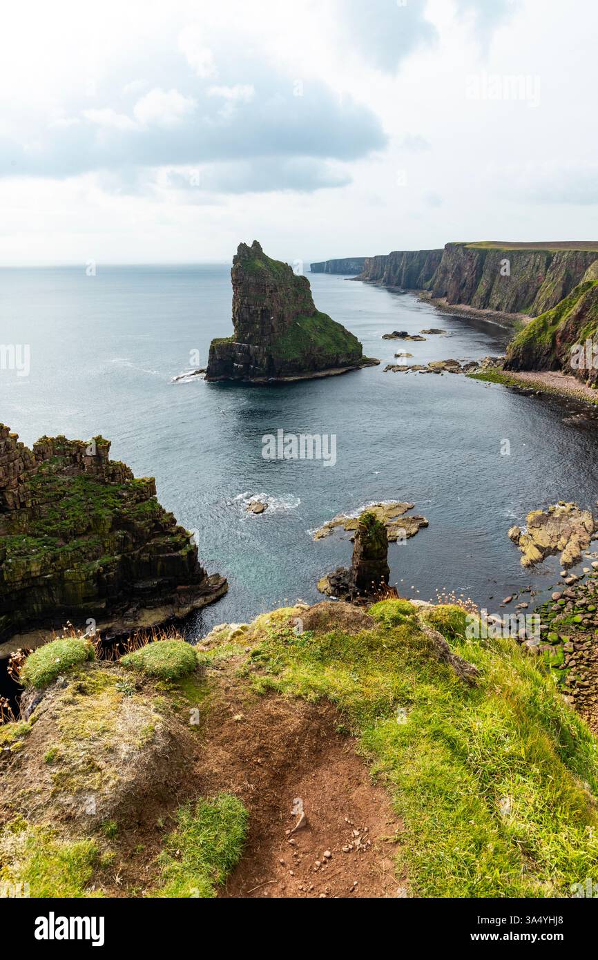 Duncansby Stacks, a breathtaking coastal wonder in Scotland, rise from the North Sea. Standing ...
