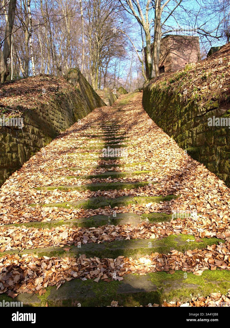 A Thingplatz or Thingstätte was a specially-constructed outdoor ...