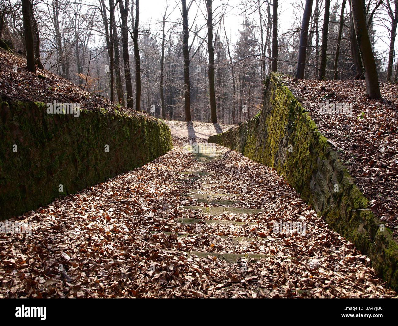 A Thingplatz or Thingstätte was a specially-constructed outdoor ...