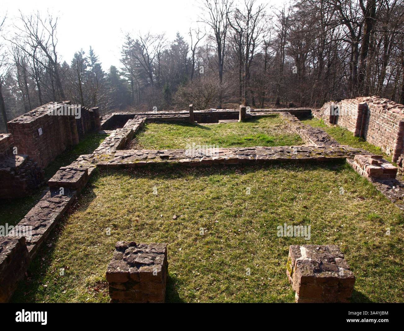 A Thingplatz or Thingstätte was a specially-constructed outdoor ...