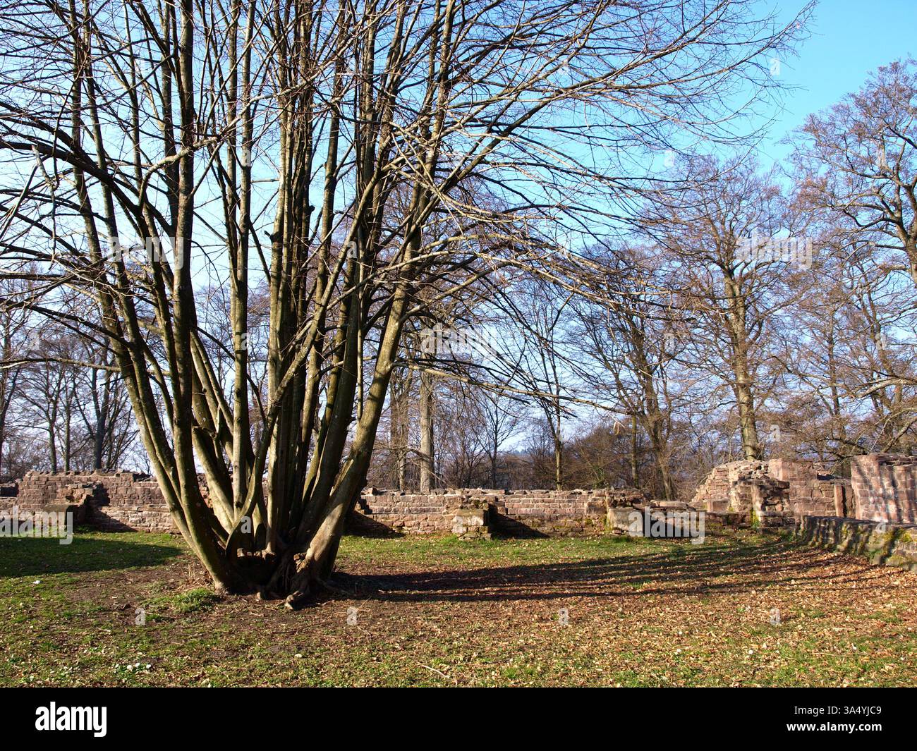 A Thingplatz or Thingstätte was a specially-constructed outdoor ...