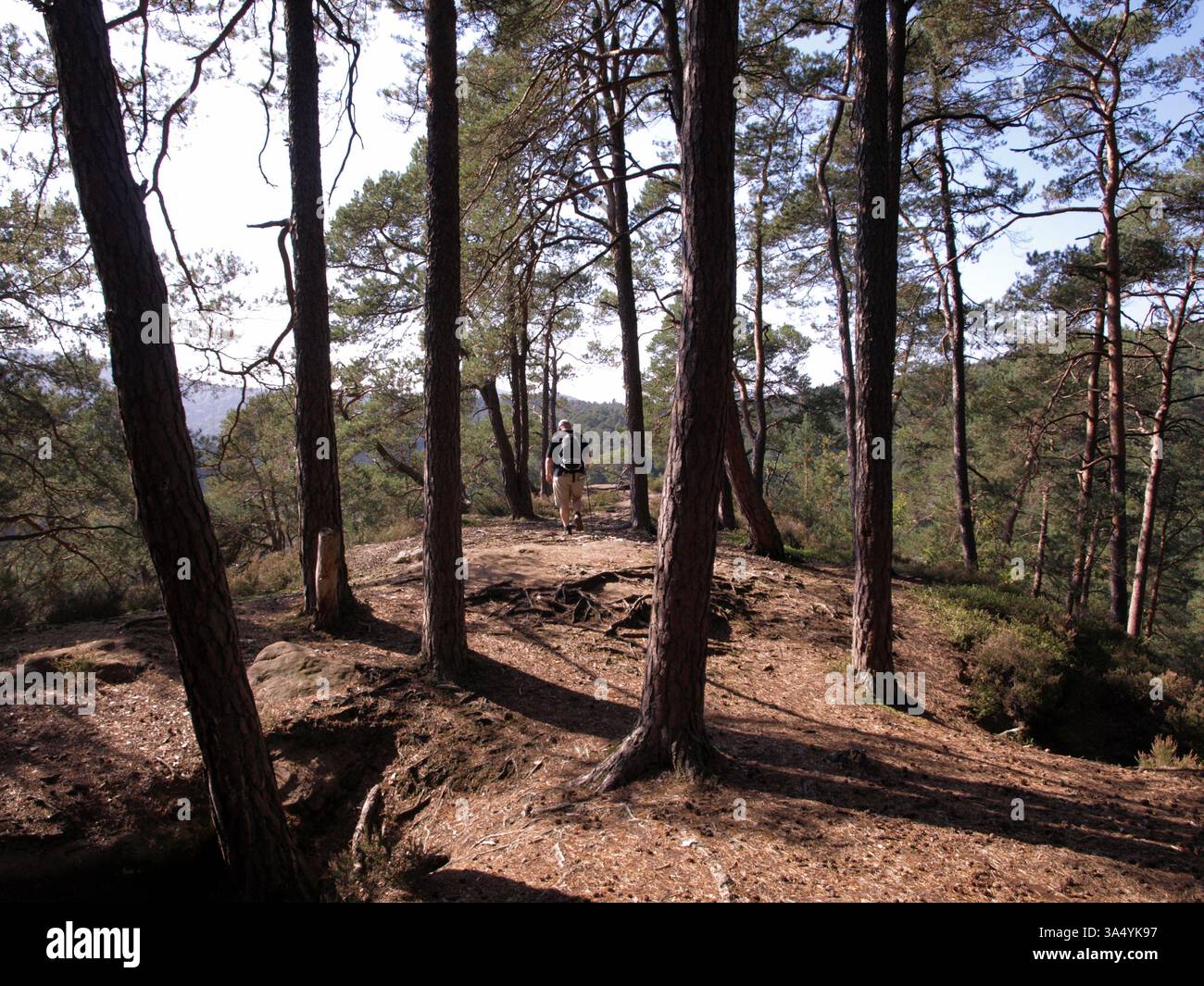 The Jungfernsprung, is a precipitous rock formation in the small German ...