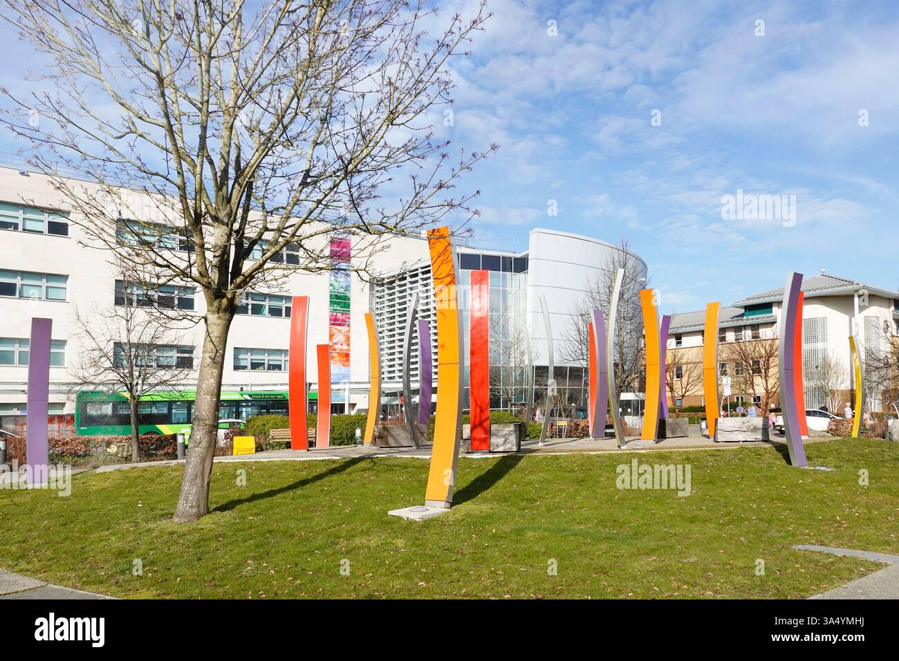 Woodland upright colour compact sculptural garden & public access ...