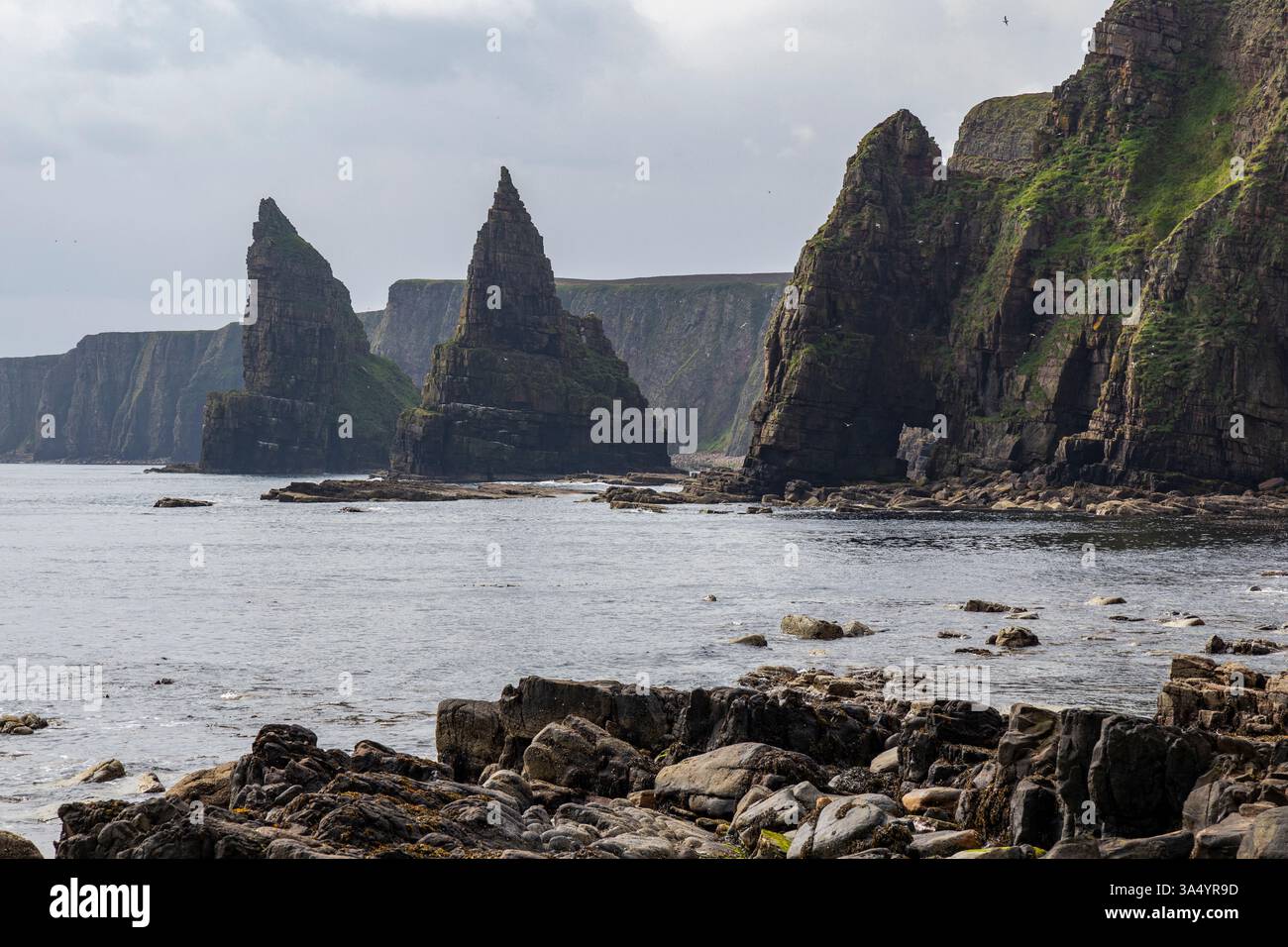 Duncansby Stacks, a breathtaking coastal wonder in Scotland, rise from the North Sea. Standing ...