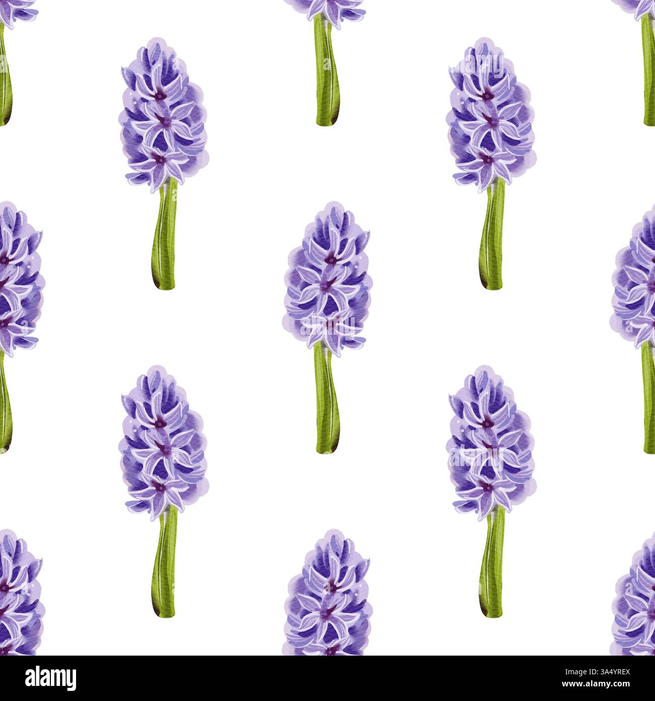 Violet hyacinth seamless pattern. Digital watercolor isolated ...
