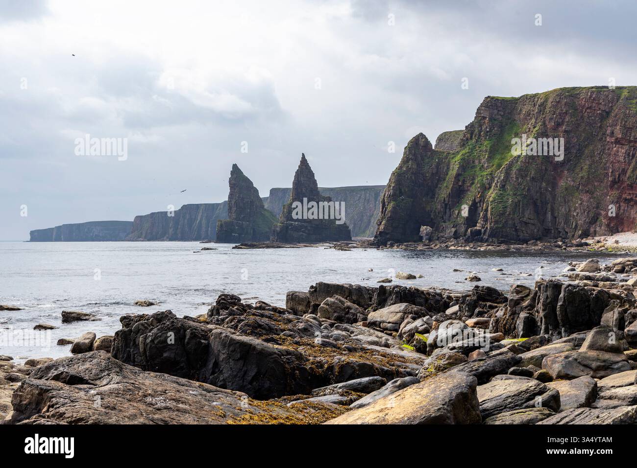 Duncansby Stacks, a breathtaking coastal wonder in Scotland, rise from the North Sea. Standing ...