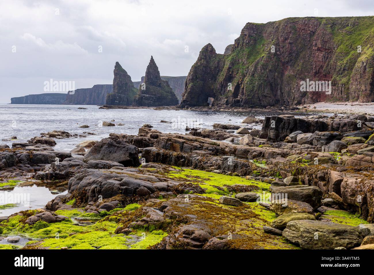 Duncansby Stacks, a breathtaking coastal wonder in Scotland, rise from the North Sea. Standing ...