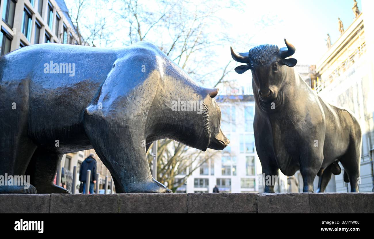 20 March 2025, Hesse, Frankfurt/Main: The bronze figures of the bull ...